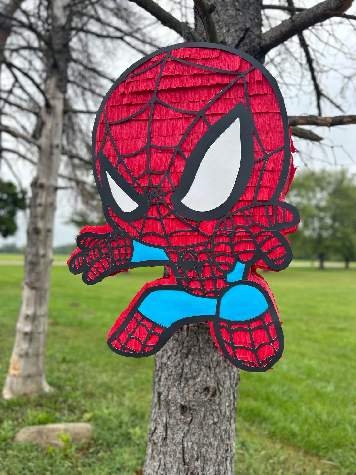 Custom Spider-man Piñata | Superhero Birthday Party Decor - Etsy