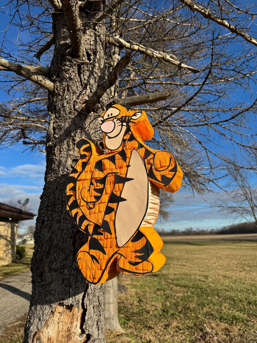 Tigger Piñata | Winnie the Pooh Party Piñata | Custom Tigger Birthday ...