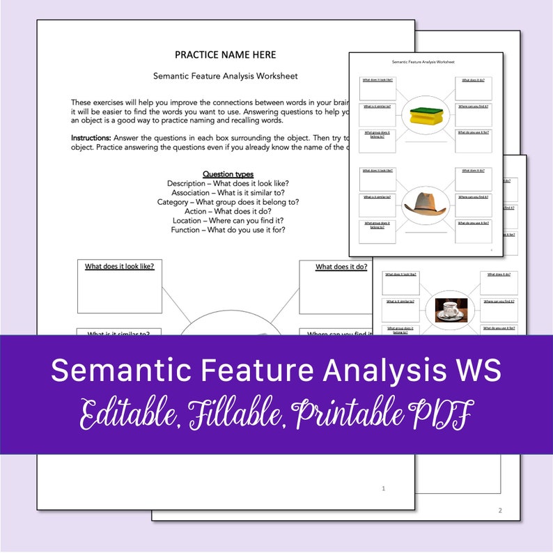 Semantic Feature Analysis Worksheet for Aphasia | Editable, Fillable ...