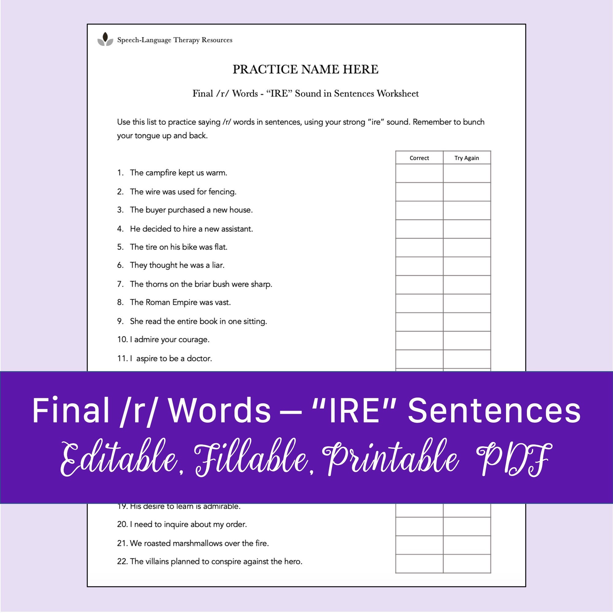 Final /r/ Words - "ire" Sound in Sentences Worksheet for Speech Therapy ...