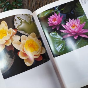 Complete Book of the Water Garden Gardening Pond Lake Creek River ...