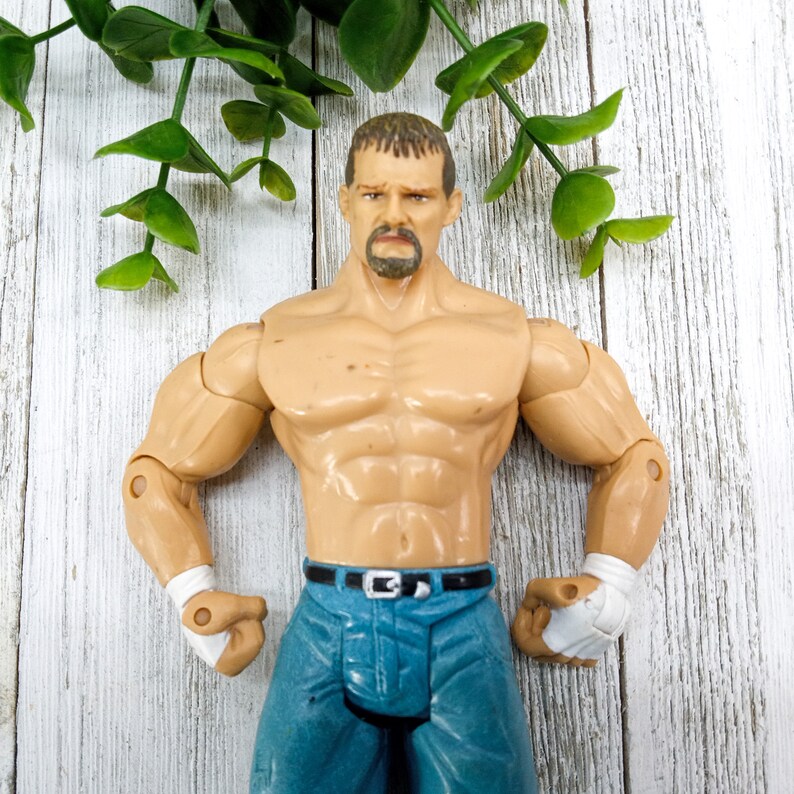 2003 WWE Jamie Noble Wrestling Action Figure Jakks Pacific WWF Loose ...