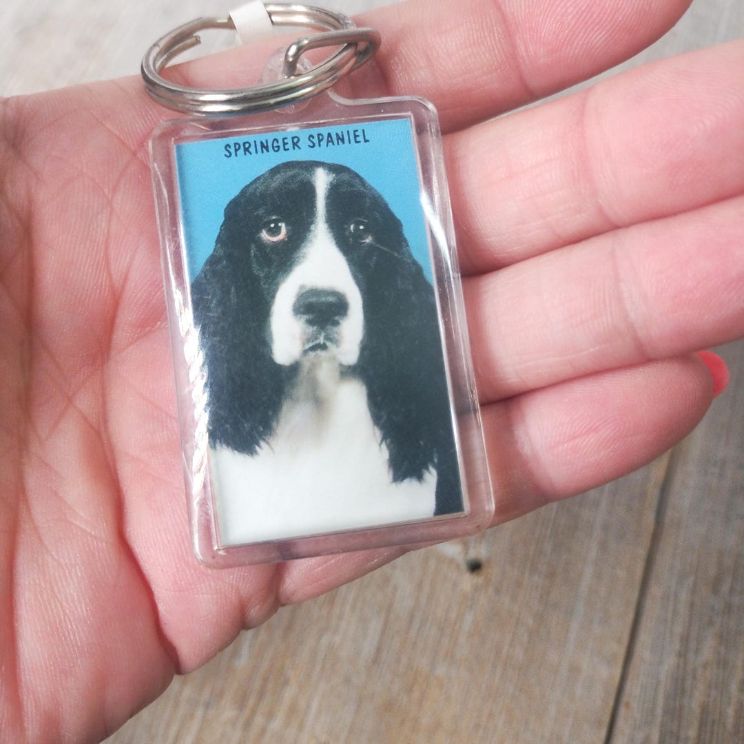 Vintage Springer Spaniel Keychain: 1980s Swibco Acrylic Dog Key Fob - Etsy