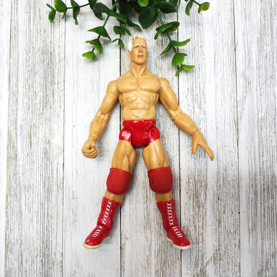 WWF WCW the Nature Boy Wrestling Action Figure Loose Wrestler Ric Flair ...