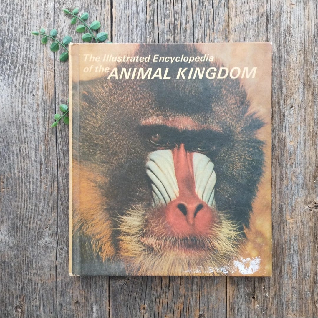 1972 Illustrated Encyclopedia Animal Kingdom Picture Book Coffee-table ...