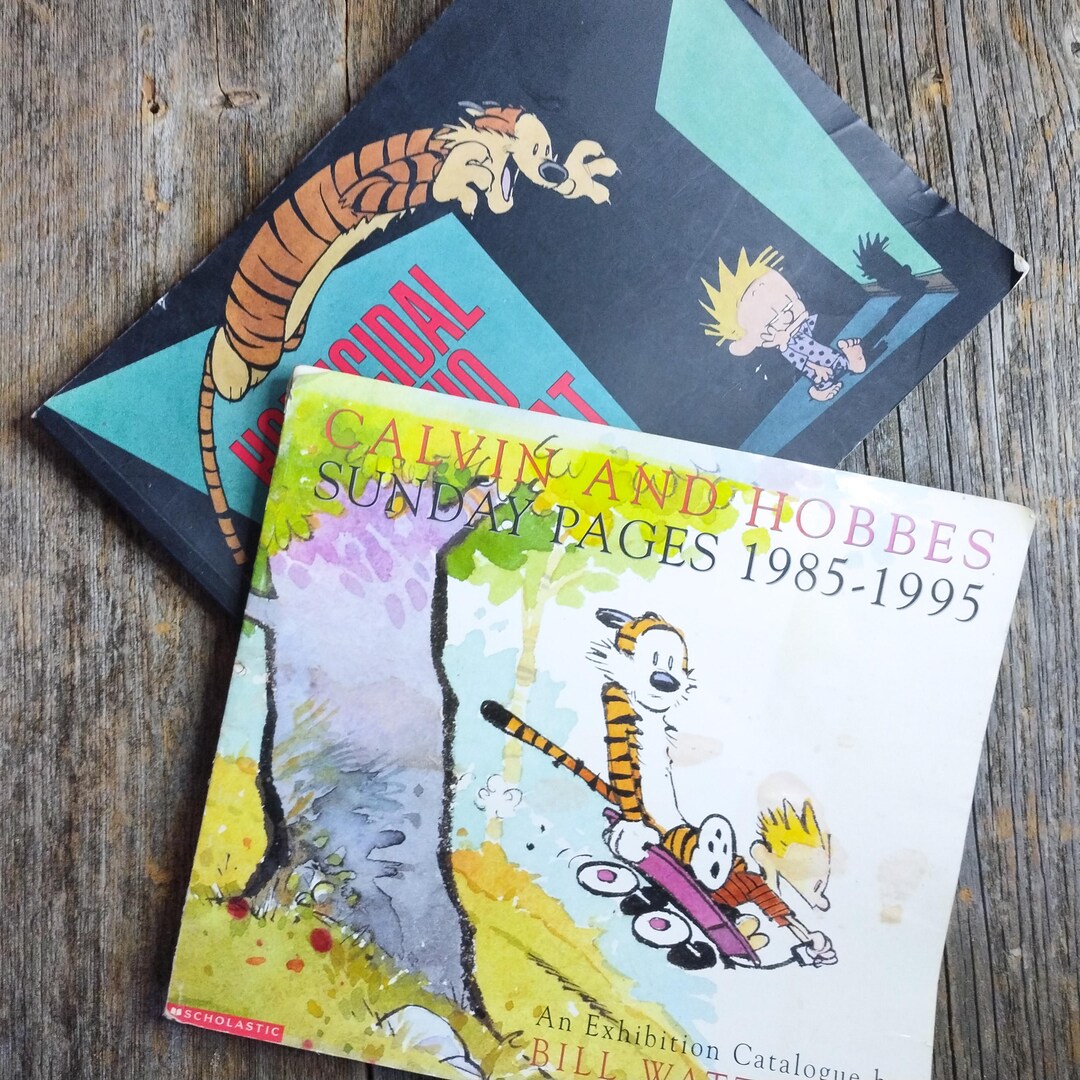 Vintage Calvin and Hobbes Comic Books: Sunday Pages & Homicidal Psycho ...