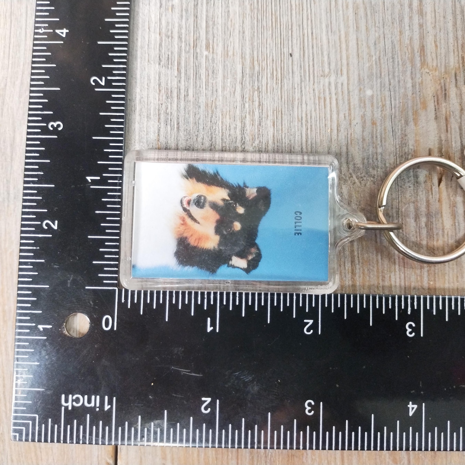Vintage Collie Dog Keychain: 1980s Swibco Acrylic Key Fob - Etsy