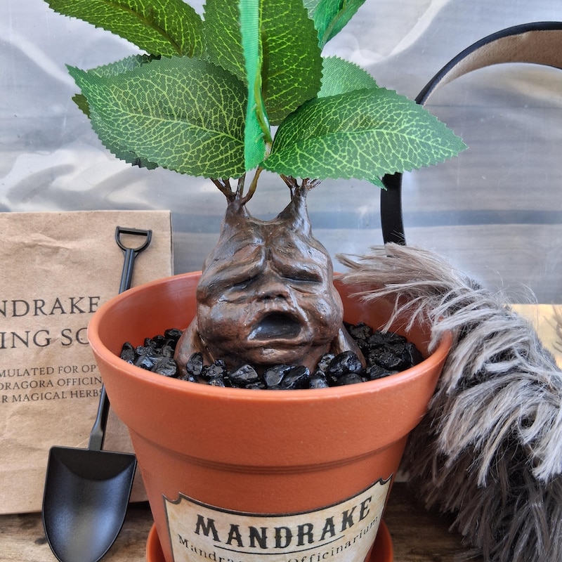 Baby Mandrake Costume - Etsy