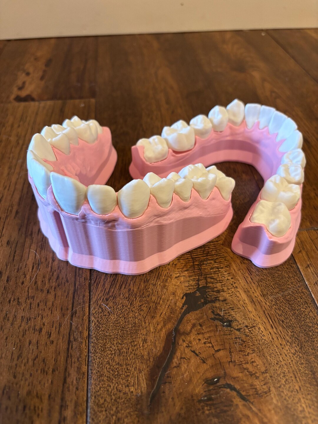Giant 3D Printed Full Mouth Dental Model Puzzle - Educational Tooth ...