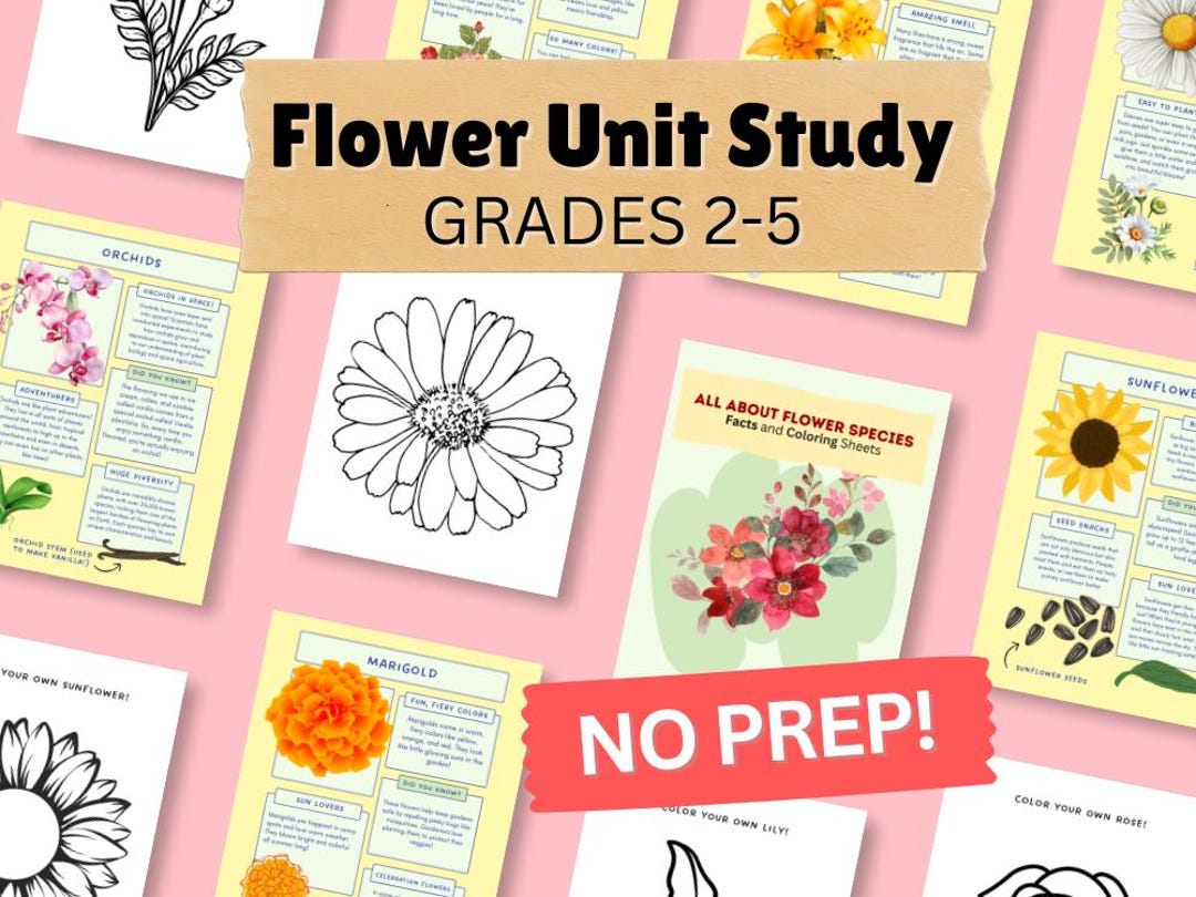 Flower Unit Study for Kids – Printable Flower Facts & Coloring Pages ...
