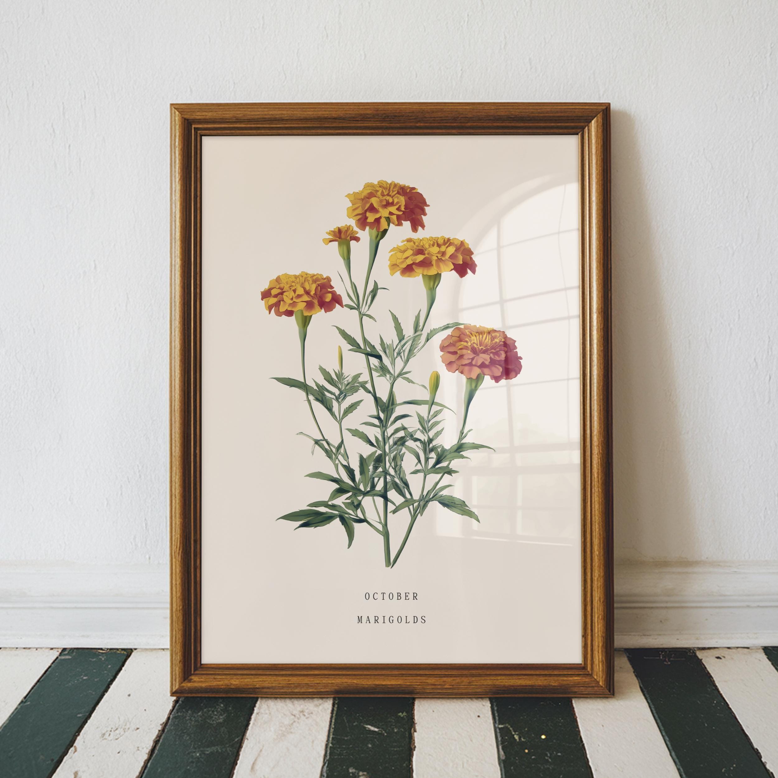 October Marigold Birth Flower Print – Vintage Botanical Wall Art ...