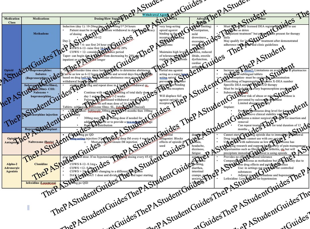 Didactic Year Pharmacology Study Guides - Etsy