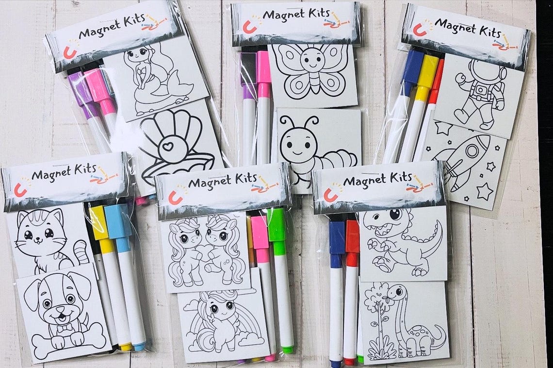 DIY Coloring Magnet Kit: Reusable Magnets & Markers, Party Favor - Etsy