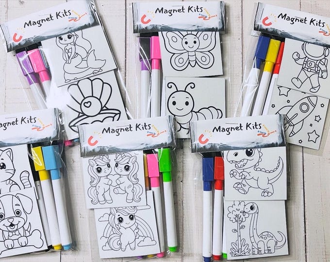 DIY Coloring Magnet Kit: Reusable Magnets & Markers, Party Favor - Etsy