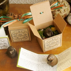 Groundhog Figurine - Your Own Personal Groundhog Day - Imbolc Weather ...