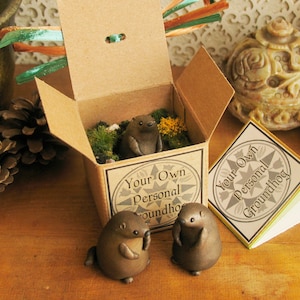 Groundhog Figurine - Your Own Personal Groundhog Day - Imbolc Weather ...