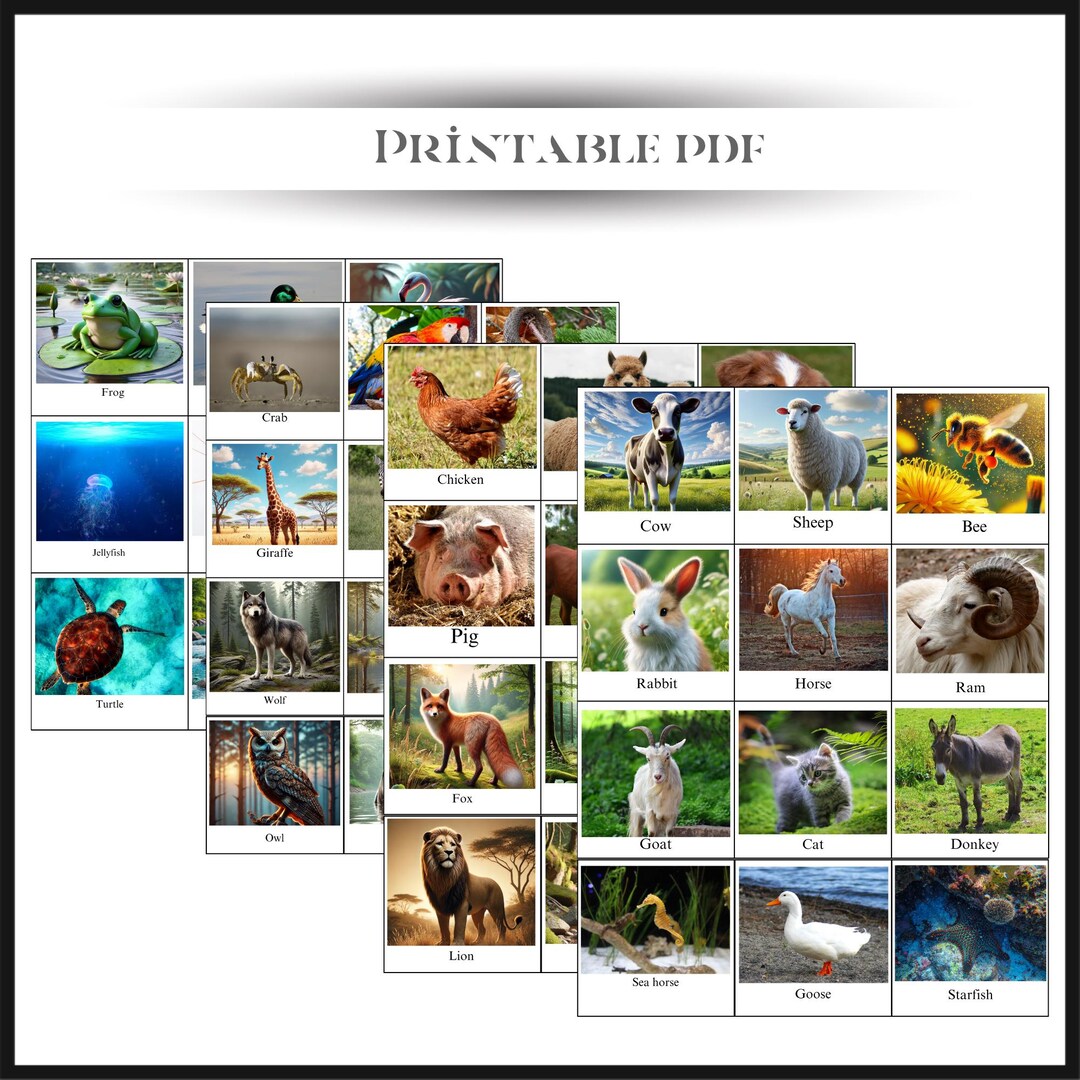 Animal Recognition Flashcards With Realistic Visuals | Digital Download ...