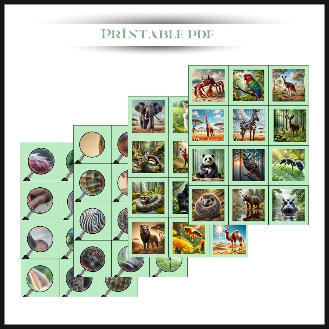 Montessori-inspired Animal Matching Cards for 0-7 Year Olds ...