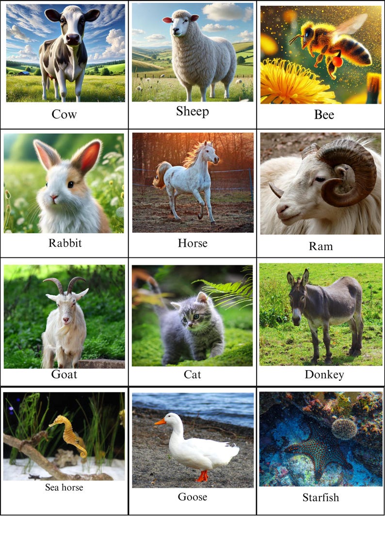 Animal Recognition Flashcards With Realistic Visuals | Digital Download ...