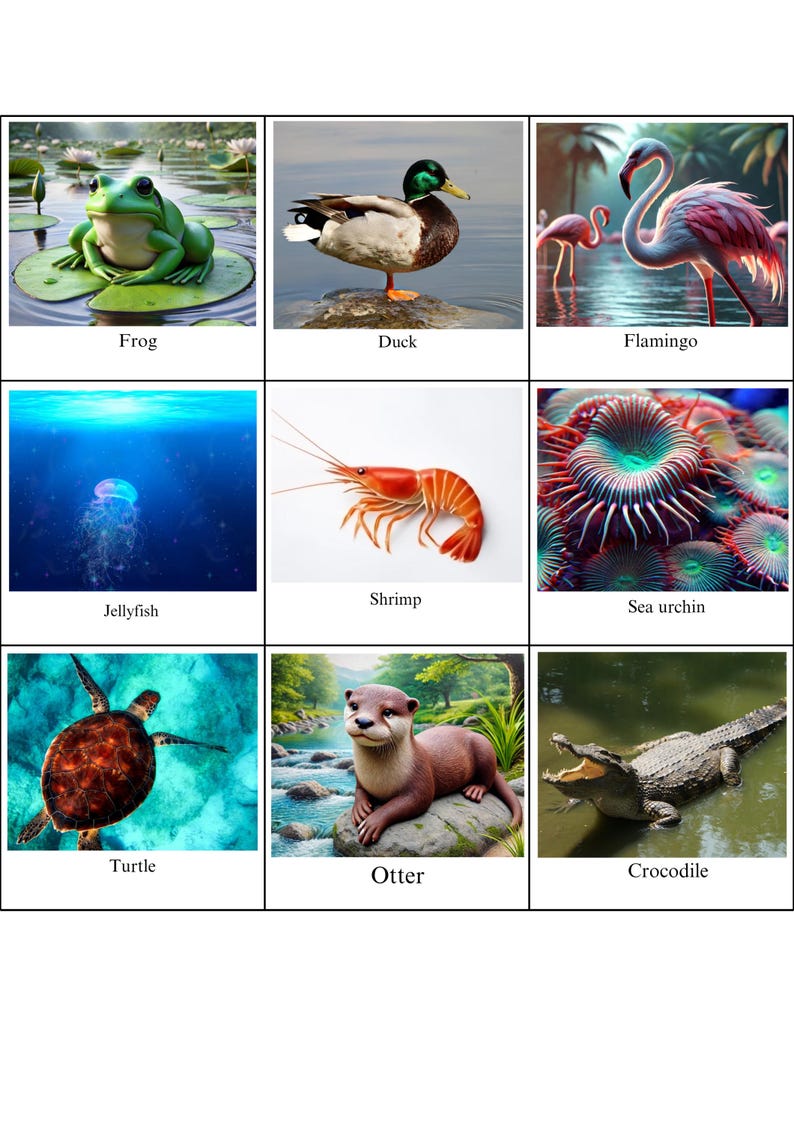 Animal Recognition Flashcards With Realistic Visuals | Digital Download ...