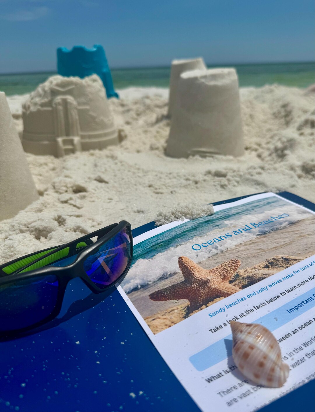 Beaches and Oceans Homeschool/educational Worksheets and Printable ...