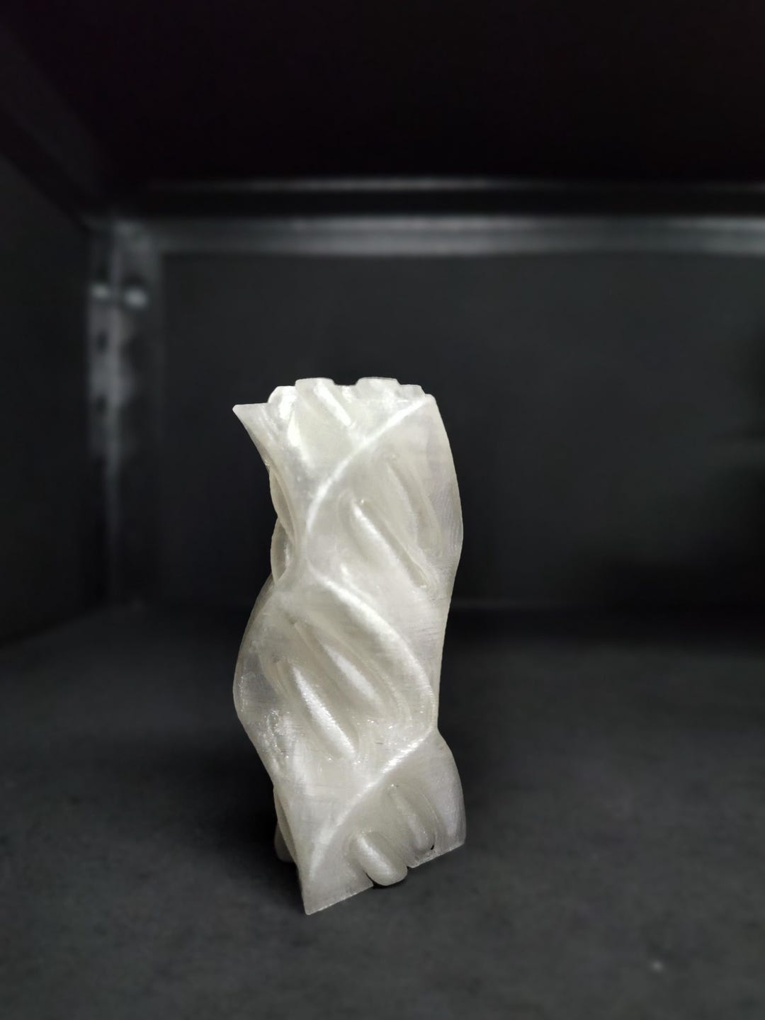 3d Printed Double Helix Fidget Toy - Etsy
