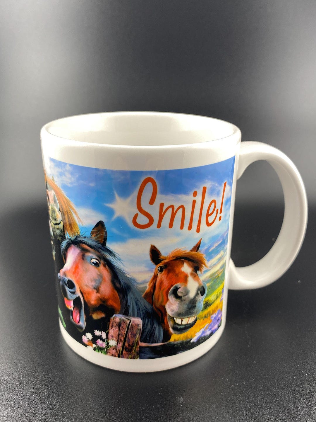 Silly Horses Taking a Selfie! Mug - Etsy