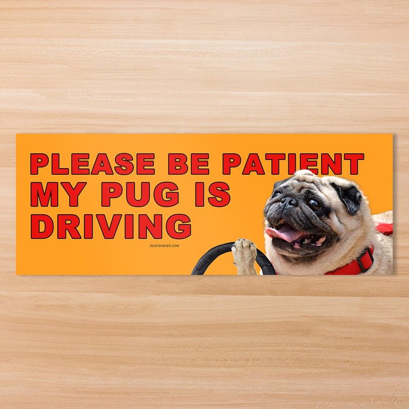 Pug Magnet - Etsy