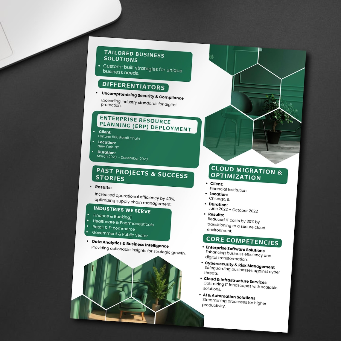 Business Capability Statement, Corporate Flyer, Editable Capability ...