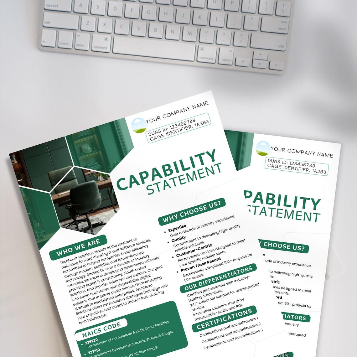 Business Capability Statement, Corporate Flyer, Editable Capability ...