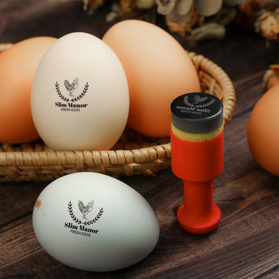 Custom Egg Stamp, Egg Cartoon Stamp, Egg Stamp, Gift for Farmer, Farm ...