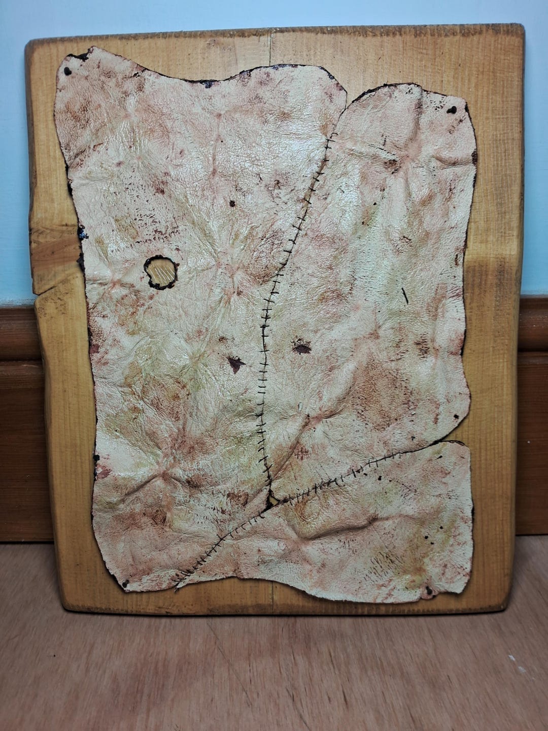 Tanned Human Skin Leather Replica Medical Specimen - Etsy