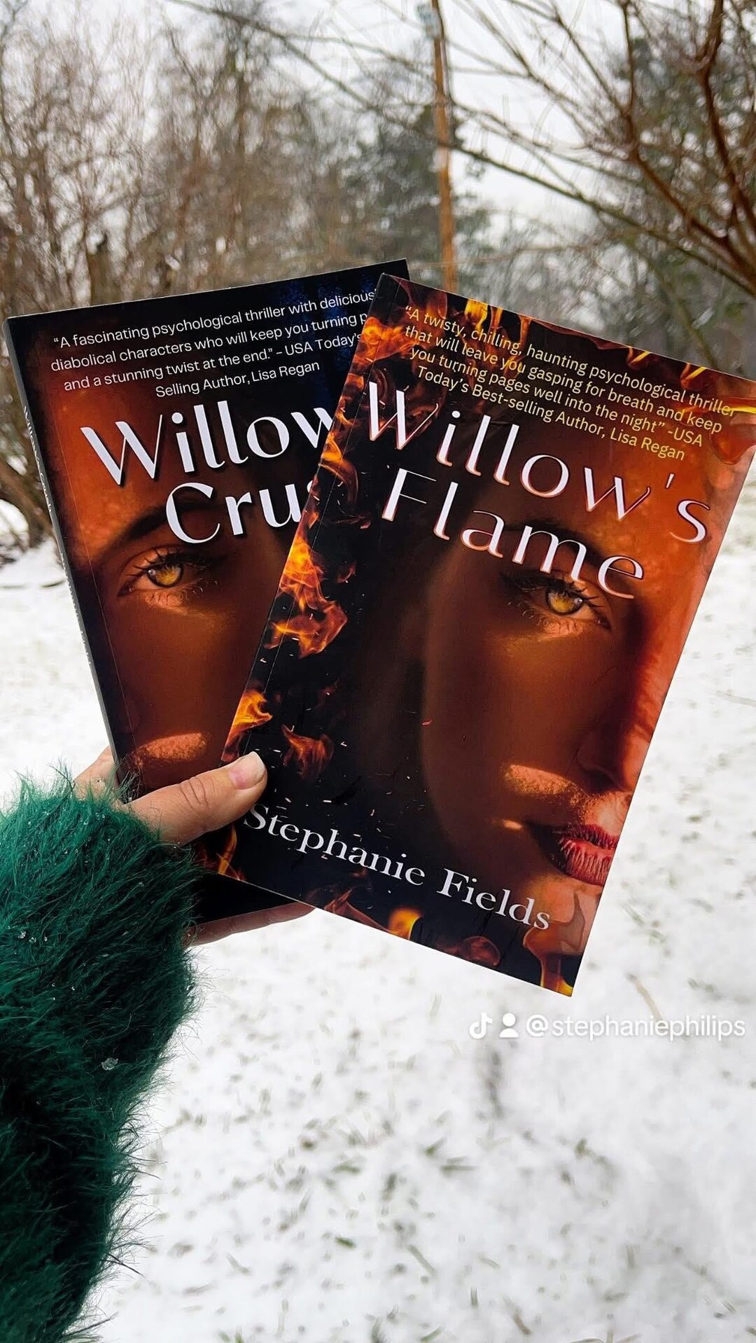 Willow's Wounds Book Set (regular Edition) - Etsy