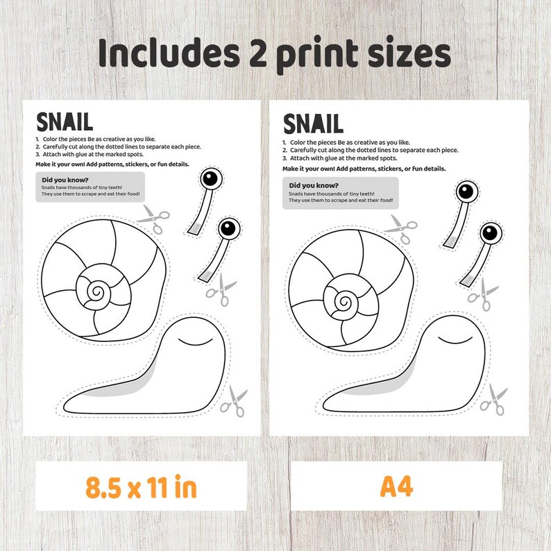 Snail Cut and Glue Craft: Coloring Activity for Kids (digital Download ...