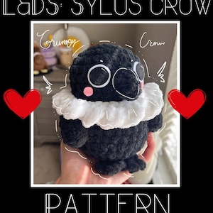 Grumpy Crow Crochet Pattern Easy Beginner-friendly PDF Love and ...
