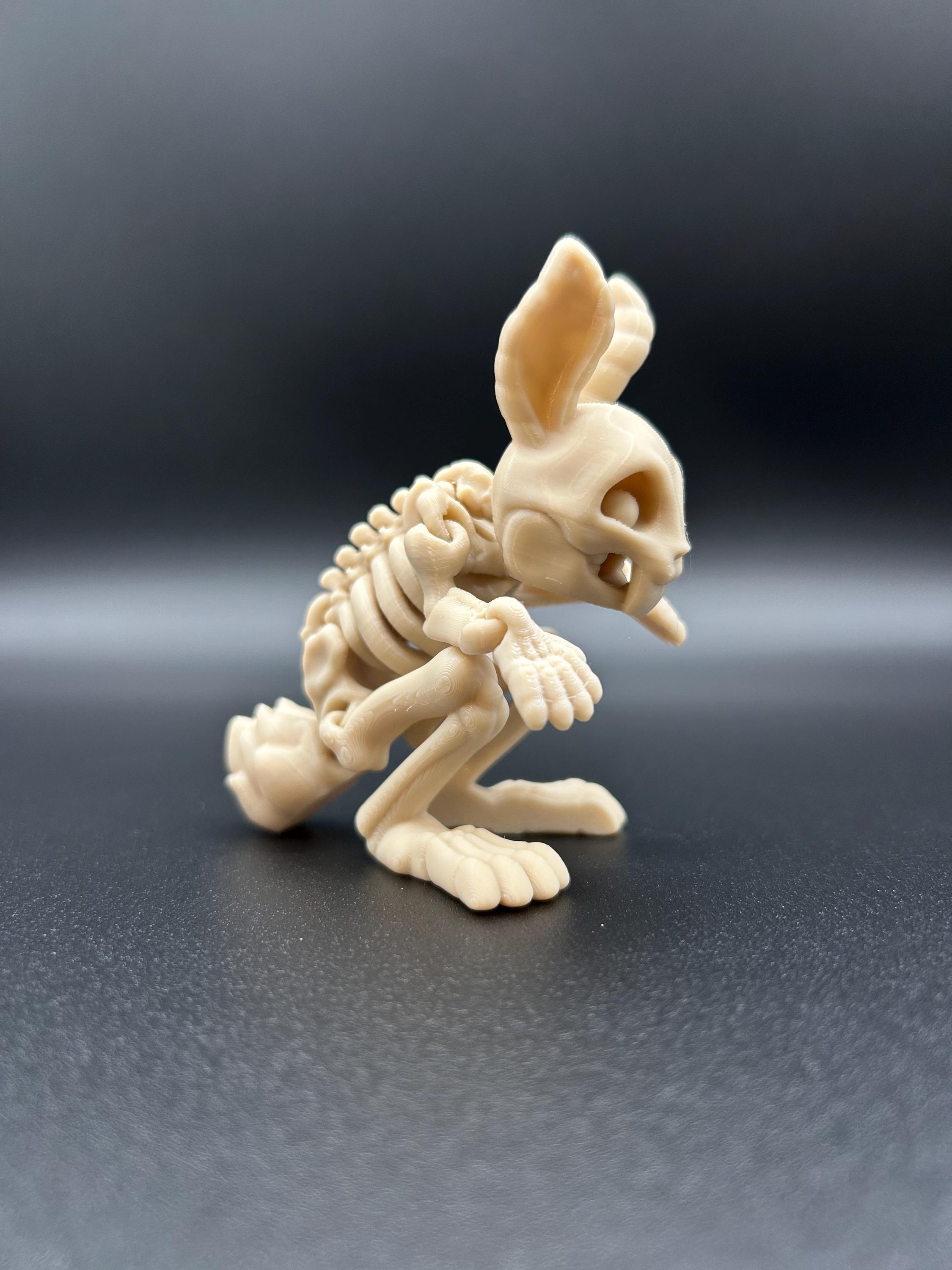 Pet Skeleton Animal Toys 3D Printed - Etsy