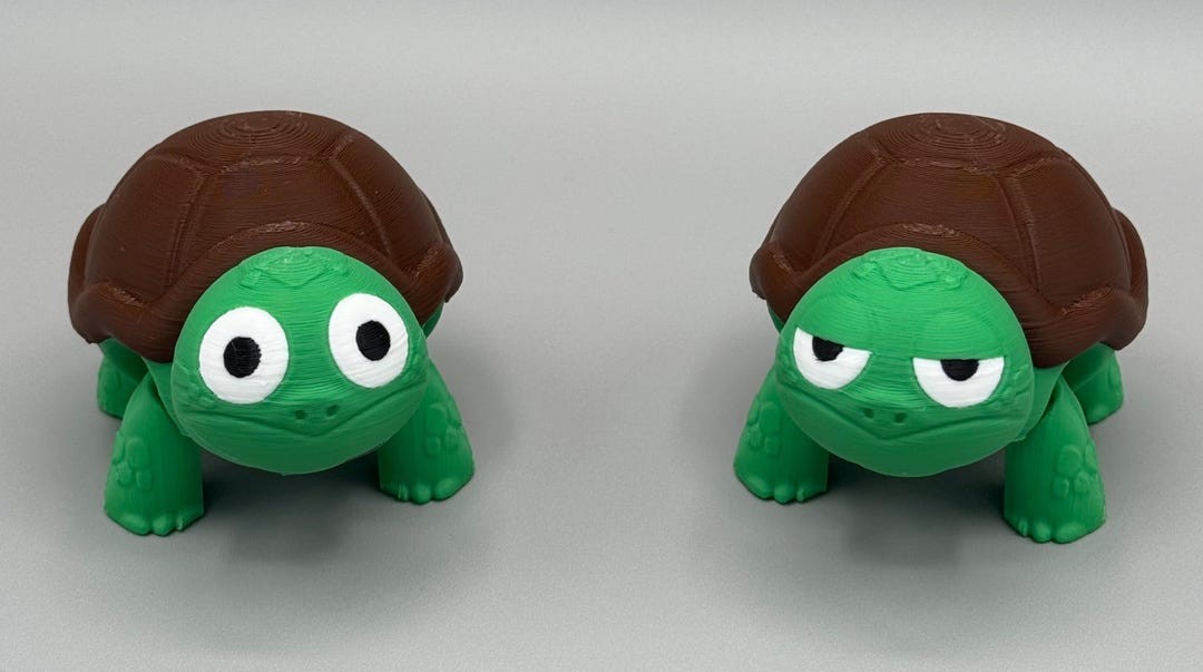 Ted and Tom 3d Printed Turtles - Etsy