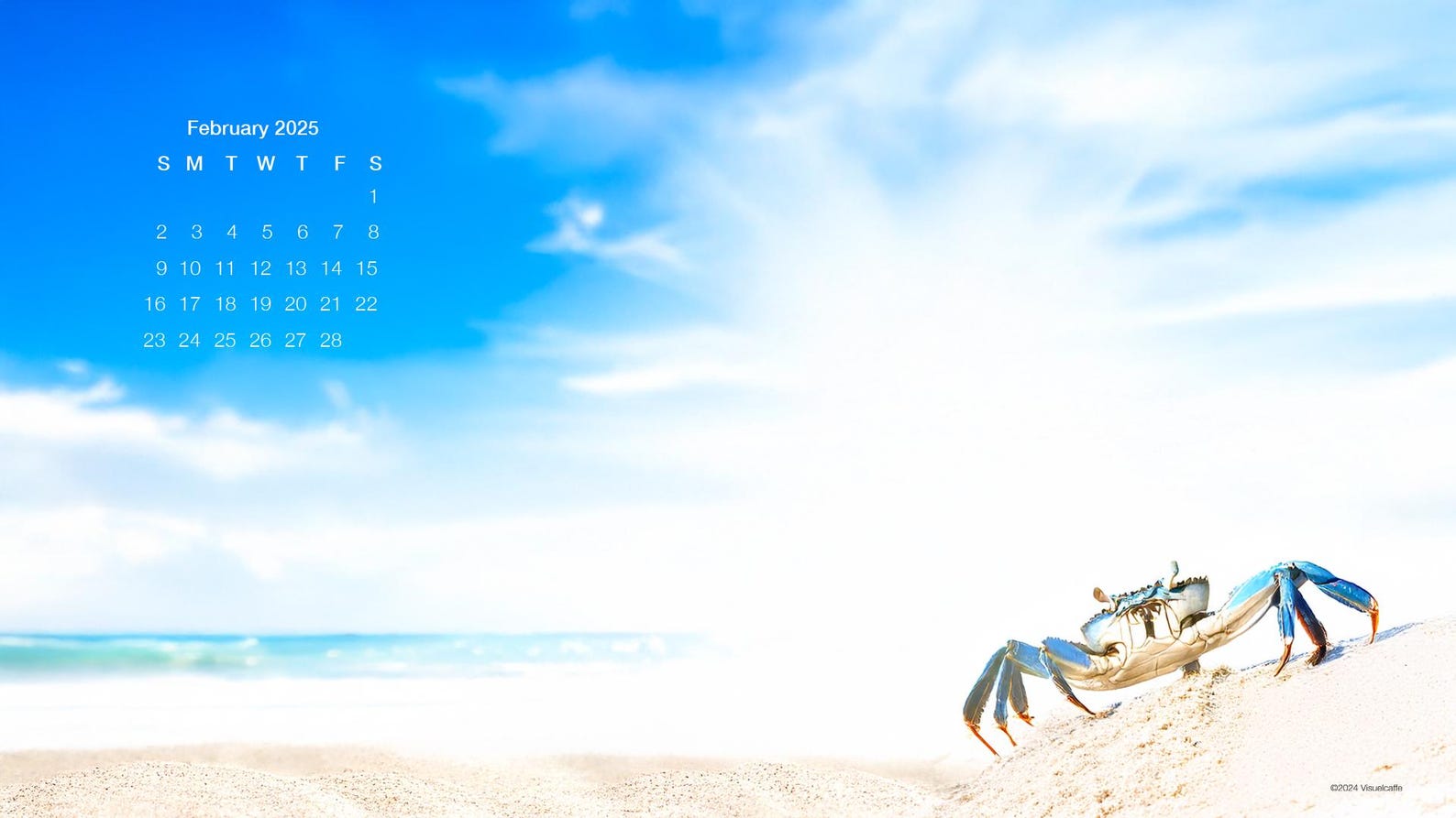 Computer Desktop Wallpaper Year Bundle - Ocean Shore Wonders, Stunning ...