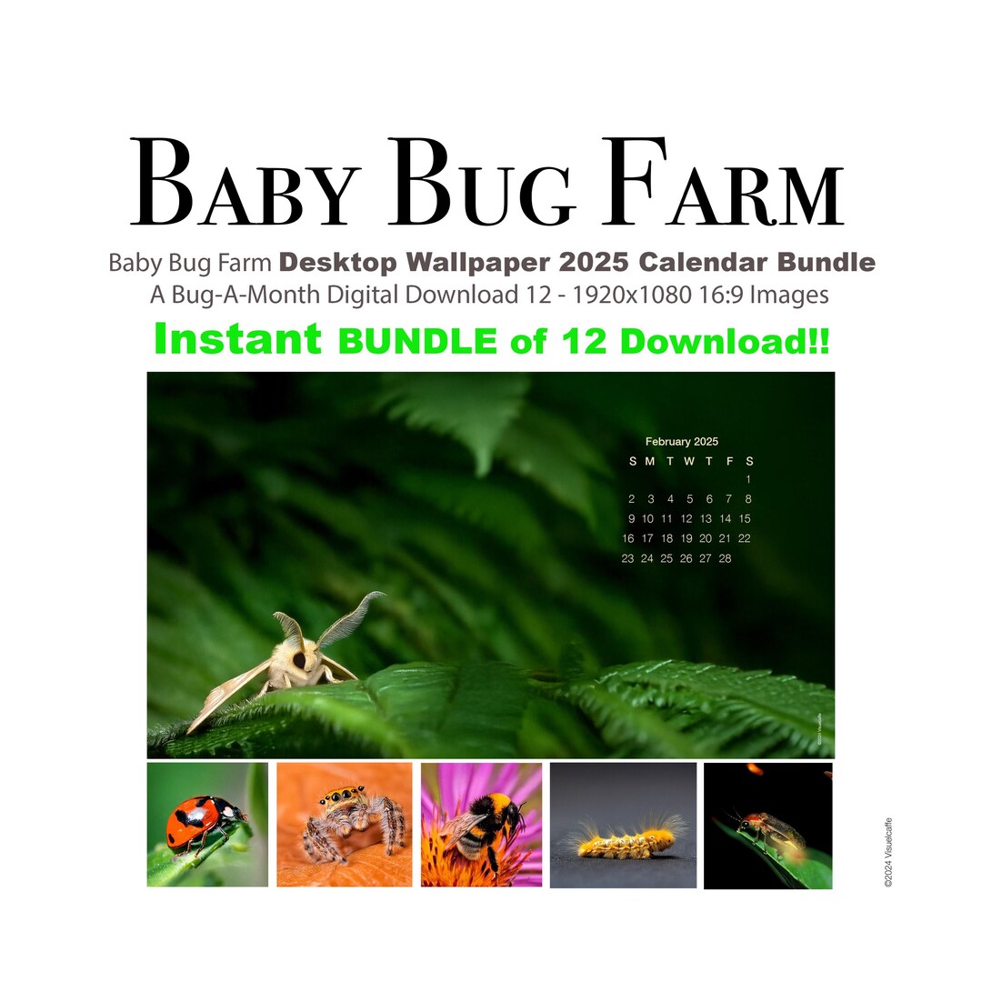 Desktop Calendar 12 Month Bundle - Cute Bugs to Make Your Desktop a ...