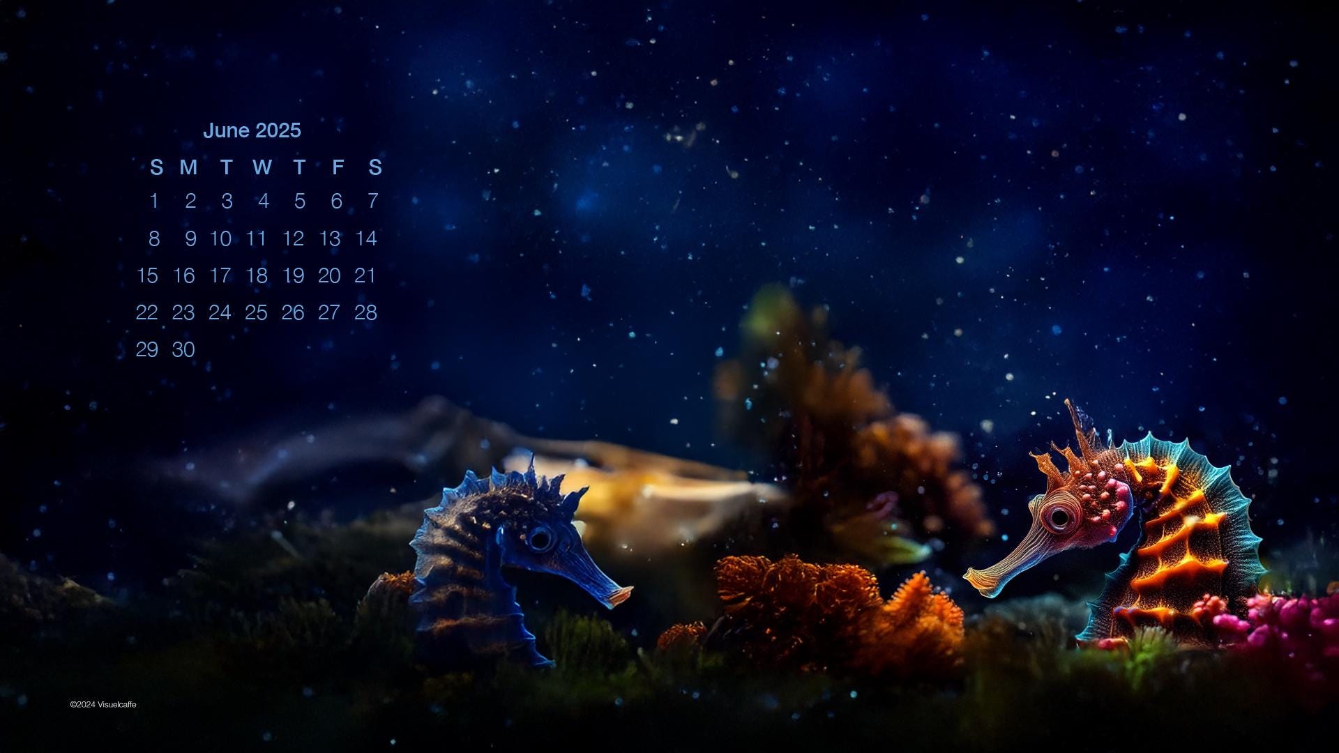 Computer Desktop Wallpaper Year Bundle - Ocean Shore Wonders, Stunning ...