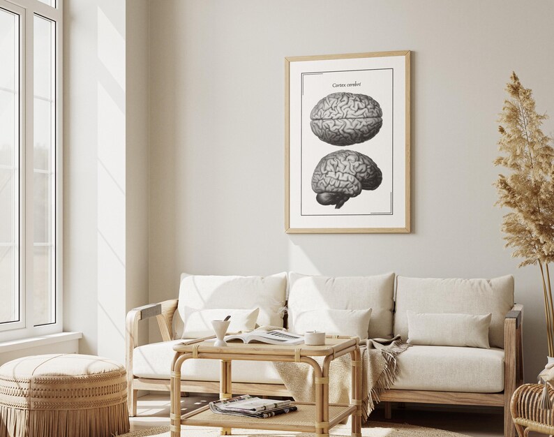 Brain Anatomy Poster Vintage | Cortex Cerebri | Medical Illustration ...
