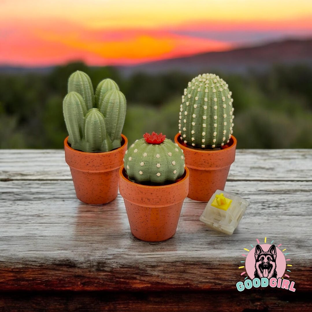 Clicky Cacti From Forgecore Fidget Toy Bundle of Three Suculant Fidgets ...