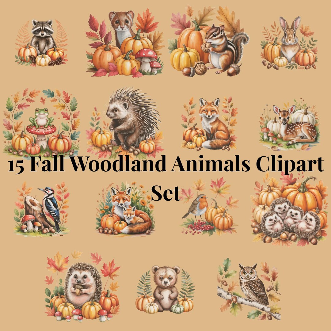 Autumn Woodland Animals Clipart | Watercolor PNG Set (digital Download ...