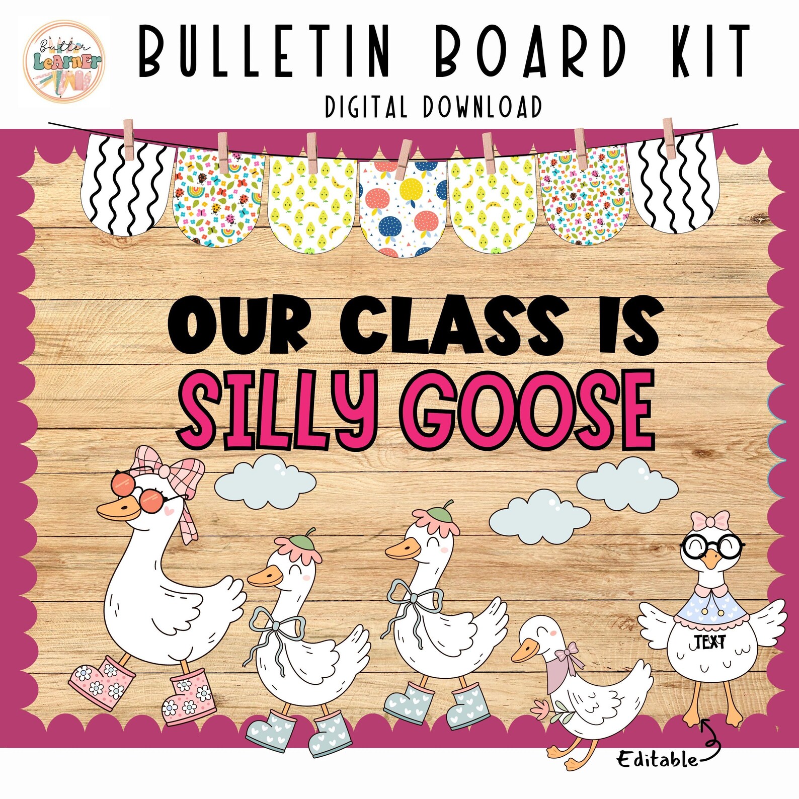 Back to School Bulletin Board Kit Silly Goose, Classroom Decor ...