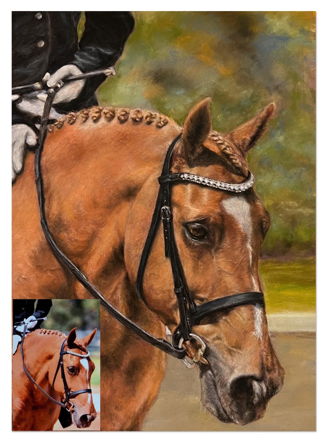 Custom Horse & Pet Pastel Portraits / Pet Memorial Art - Etsy