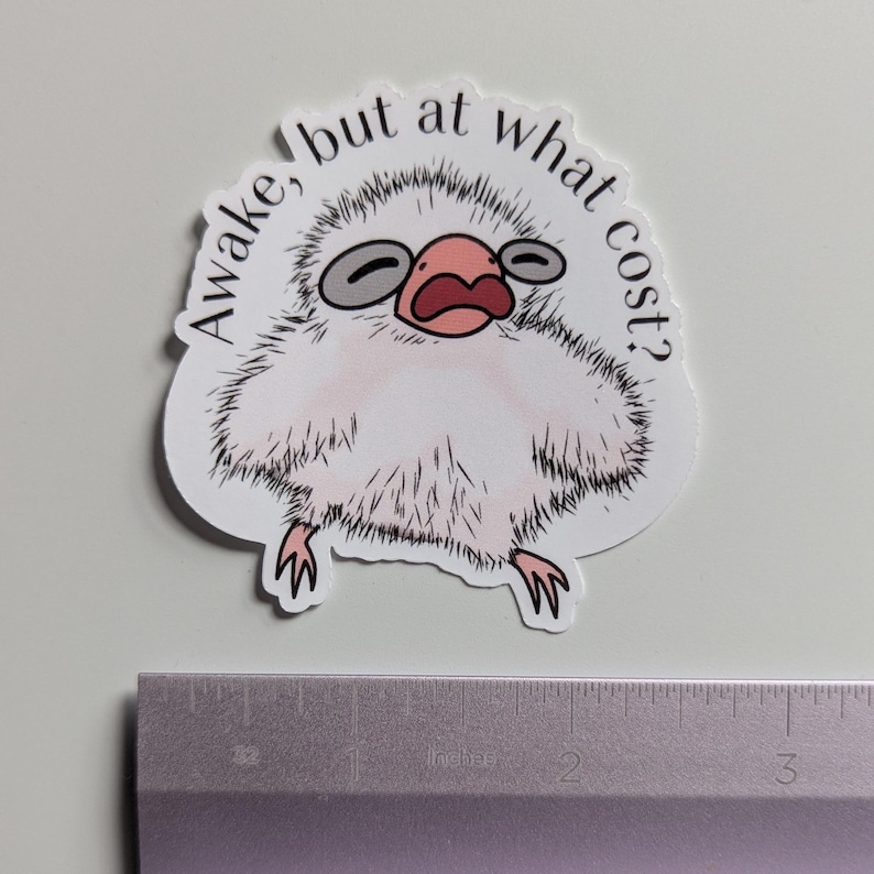 Baby Falcon Awake Sticker | San Antonio Zoo African Pygmy Falcon, Gifts ...