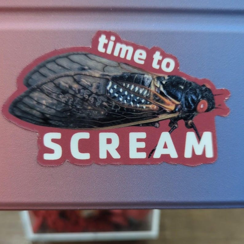 Funny Cicada Sticker: Time to Scream, Entomology Gift - Etsy