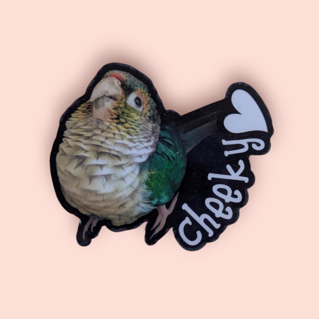 Cheeky Conure Sticker Pet Decorations, Funny Gift for Parrot Lovers ...