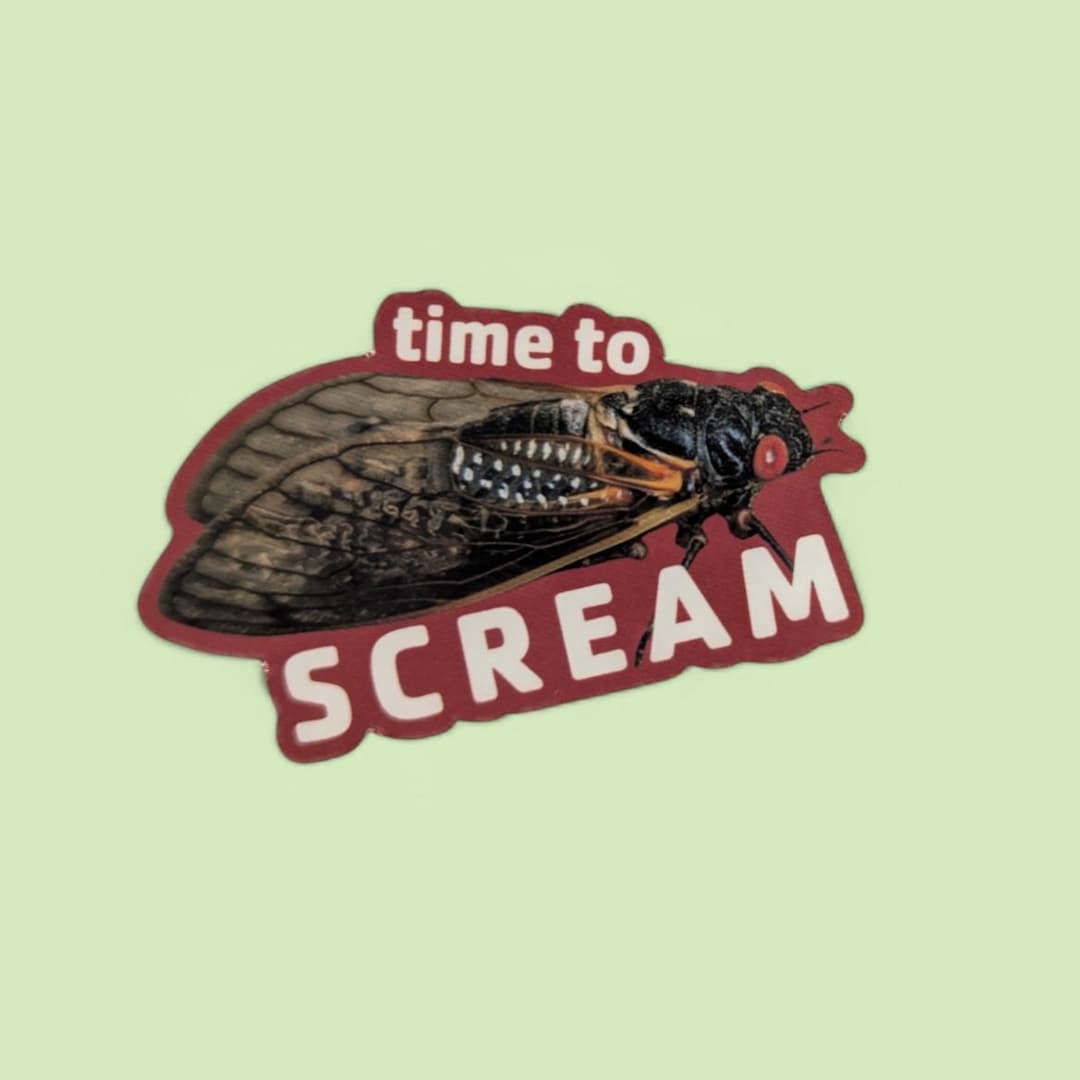 Funny Cicada Sticker: Time to Scream, Entomology Gift - Etsy