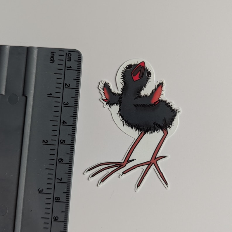 Pukeko Chick Sticker | Funny Yelling Baby Bird Art - Etsy